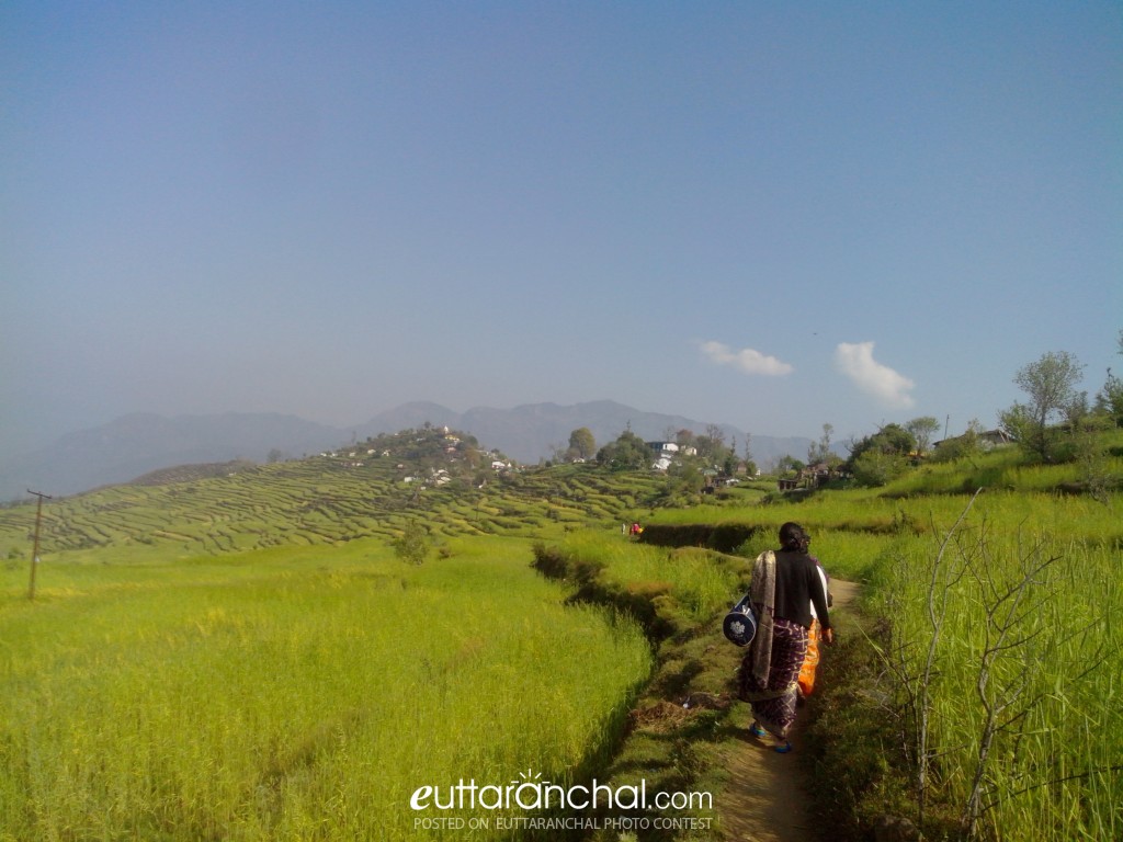 DHONI SILINGA Village - Uttarakhand Photos