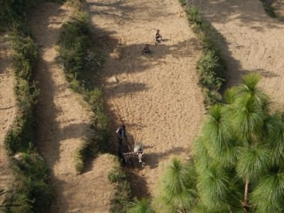 Step farming - Uttarakhand Photos