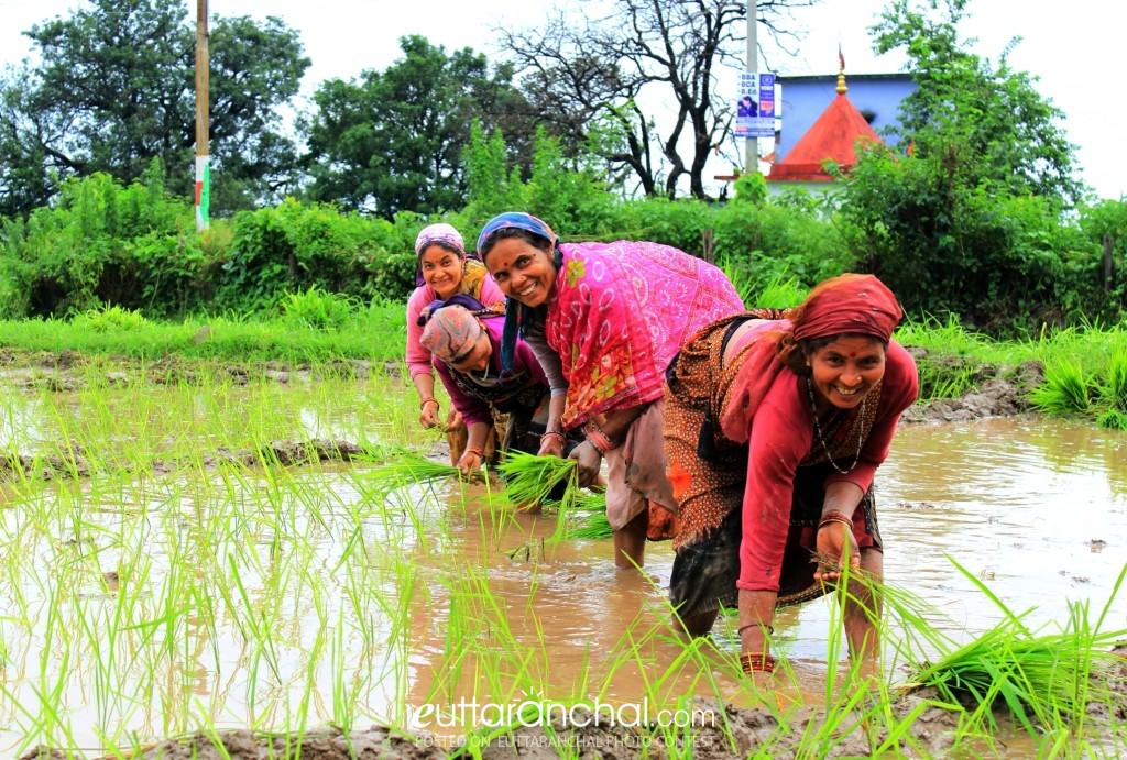 Working woman - Uttarakhand Photos